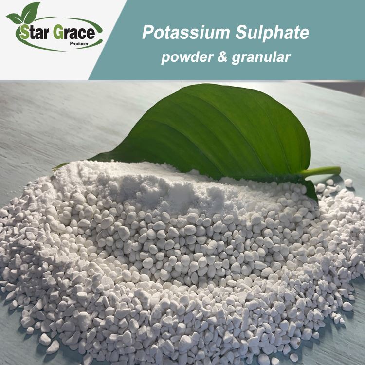 China potassium sulphate K2O 50% and 52% Suppliers, Producer ...