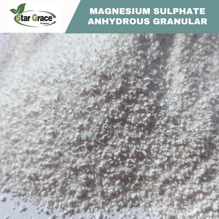 China Magnesium Sulfate Anhydrous Granule Suppliers, Producer ...